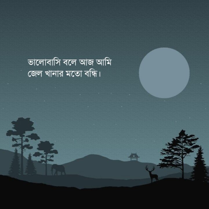 ১০১+ সেরা বংলা আবেগী ক্যাপশন, স্ট্যাটাস ও উক্তি ২০২৪ » Chirkute Sahitto